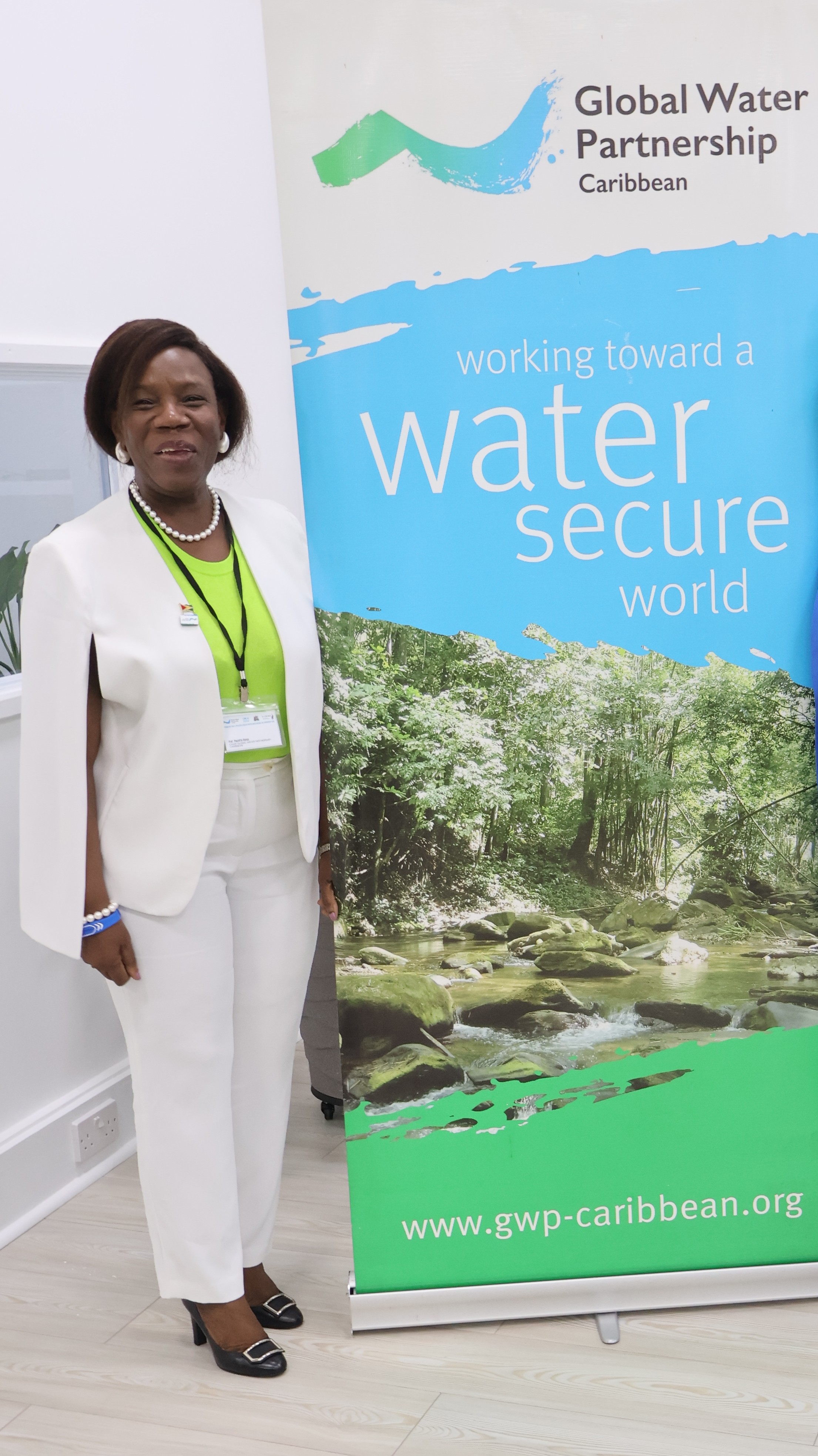 High level stakeholders from CSIDS reaffirm commitment to Integrated ...